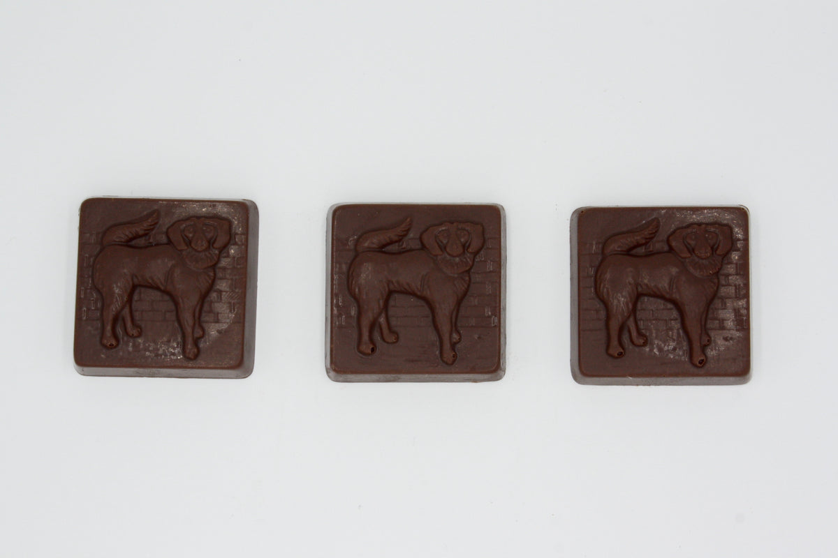 Swiss Chocolate Shaggy Dog Pack – Neuchatel Chocolates