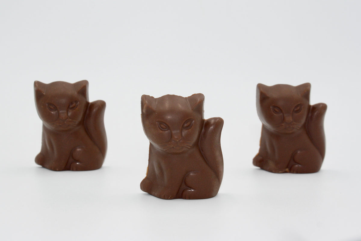 Swiss Chocolate Cat Pack – Neuchatel Chocolates